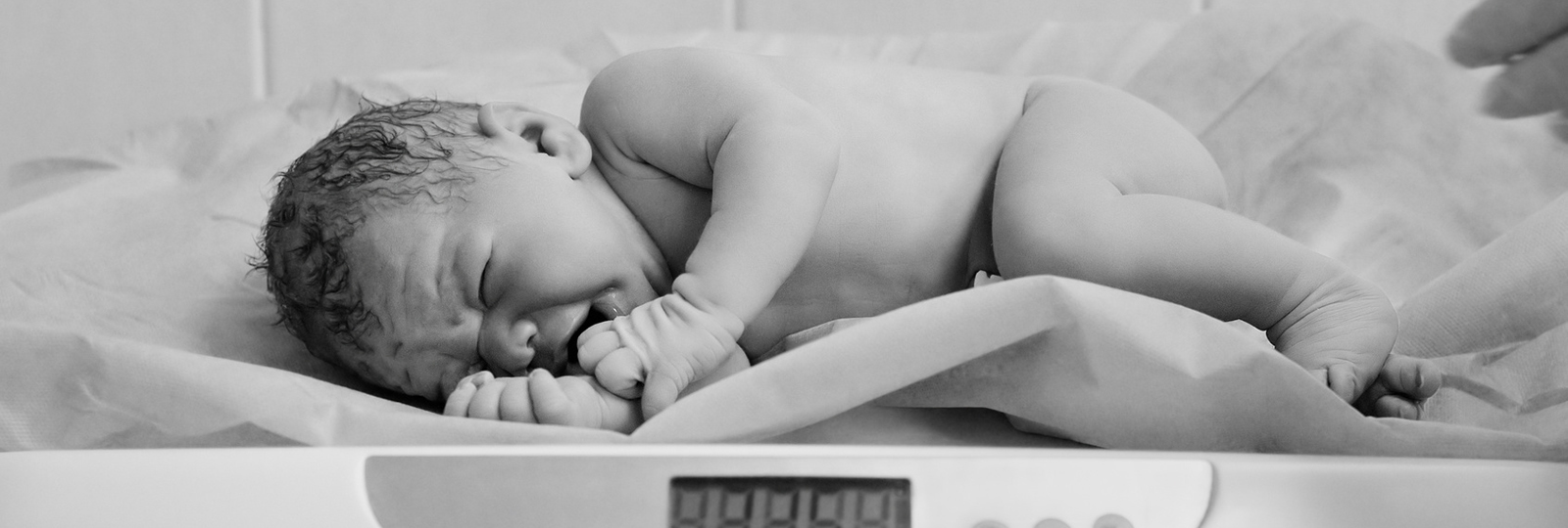 Birth Certificates The Unassisted Baby Birth Certificates The Unassisted Baby